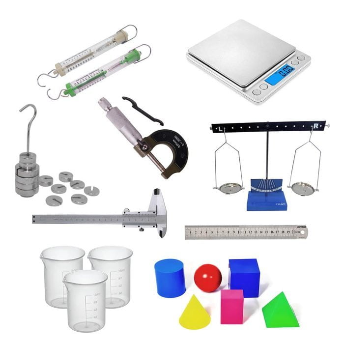 The Developmeny Process for Fetus (Half-Size)